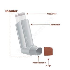 Brown Inhaler Wholesaler, Supplier, Exporter - Reliable Respiratory ...